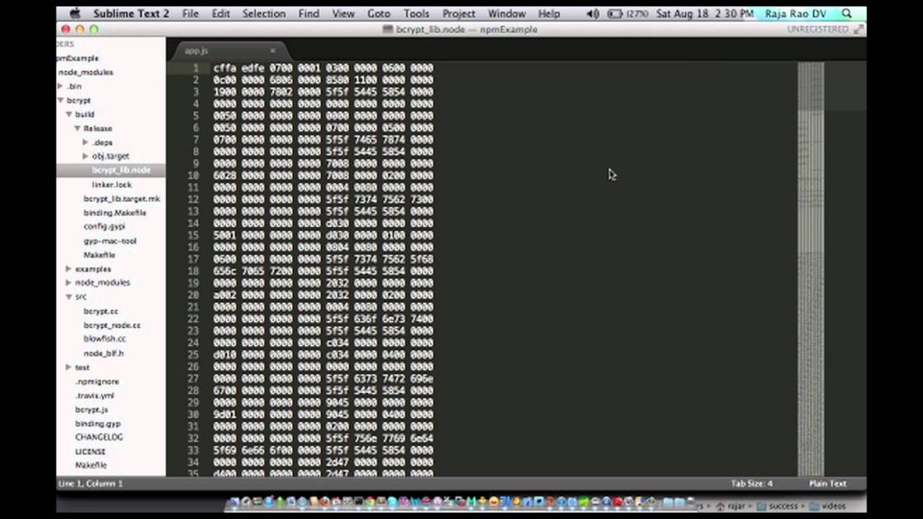 node.js | Cloud Computing Software Development